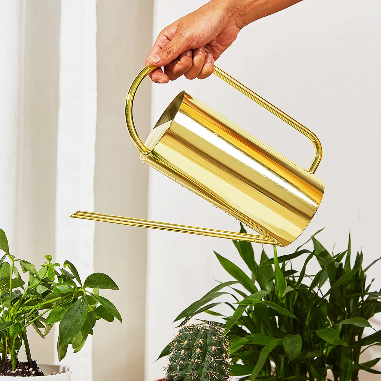 Pitcher for Watering Plants: The Ultimate Guide to Choosing the Right ...