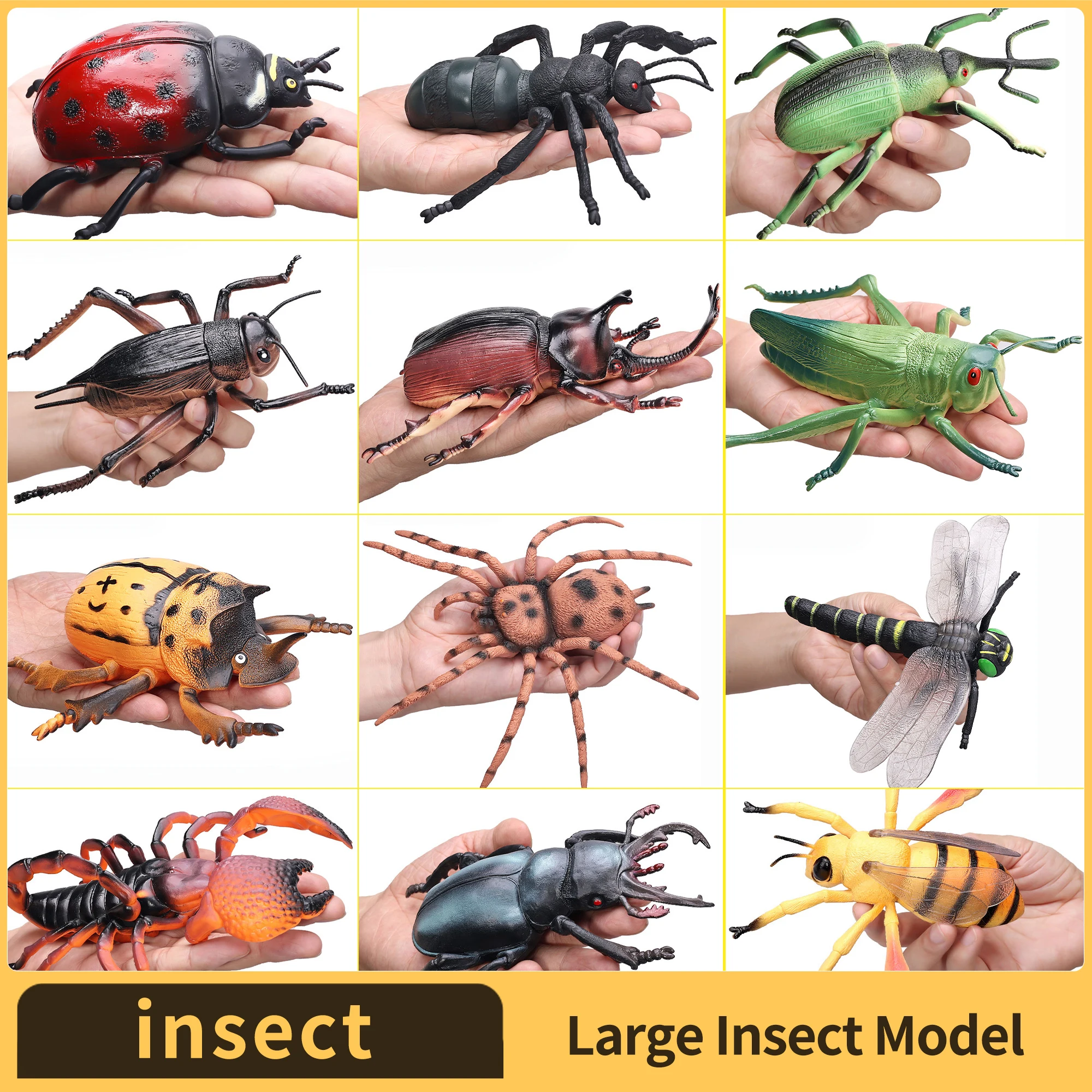 Big Size Wild Insect Animals Model Spider Scorpion Ladybug Dragonfly ...