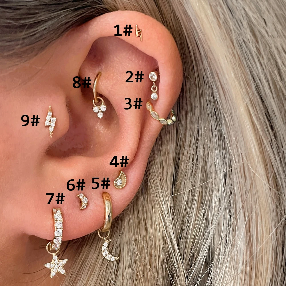 Conch And Rook Piercing