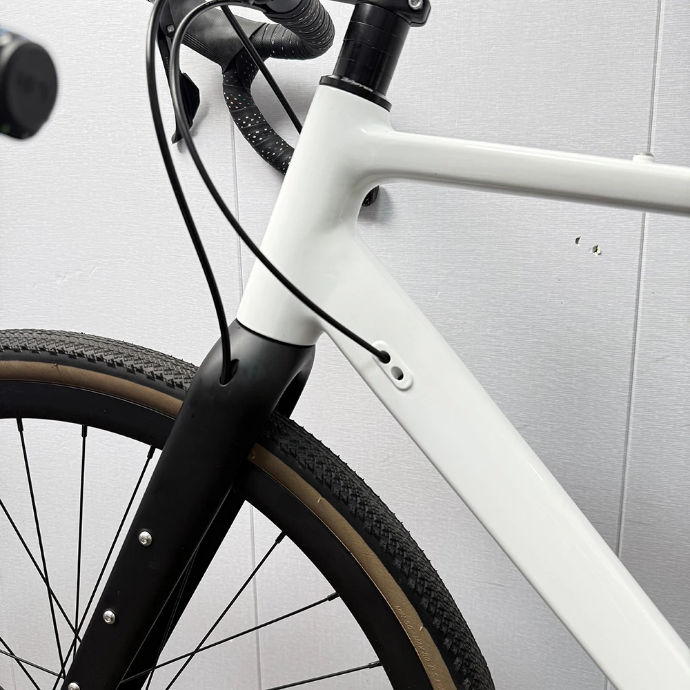 Everything You Need to Know About Rail Bicycles