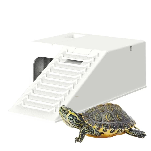 Tortoise House Water