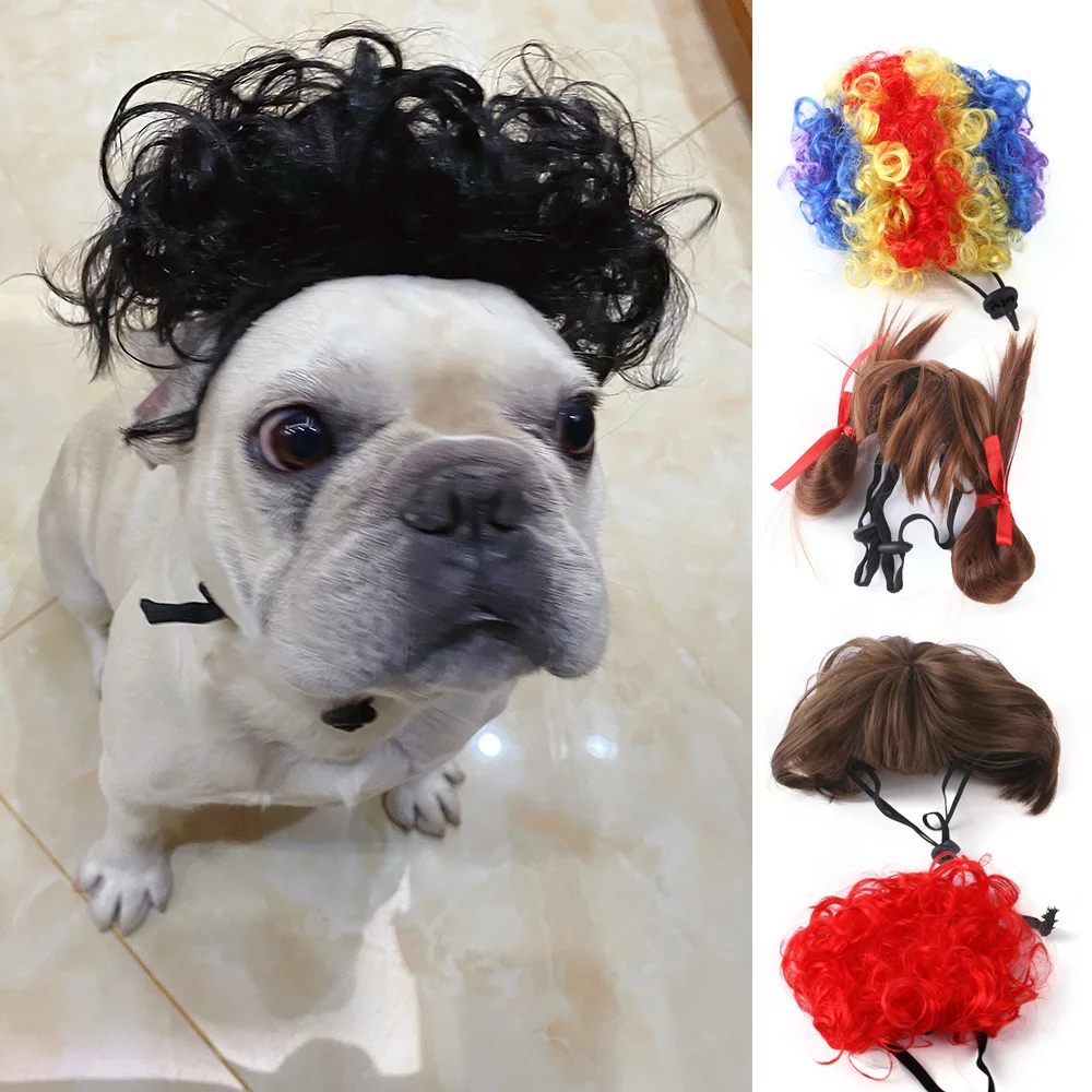 Pet-Wig-and-Headwear-Dog-and-Cat-with-Bangs-Afro-Teddy-Dress-Funny ...