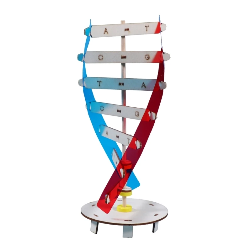 How To Make A Dna Helix Model