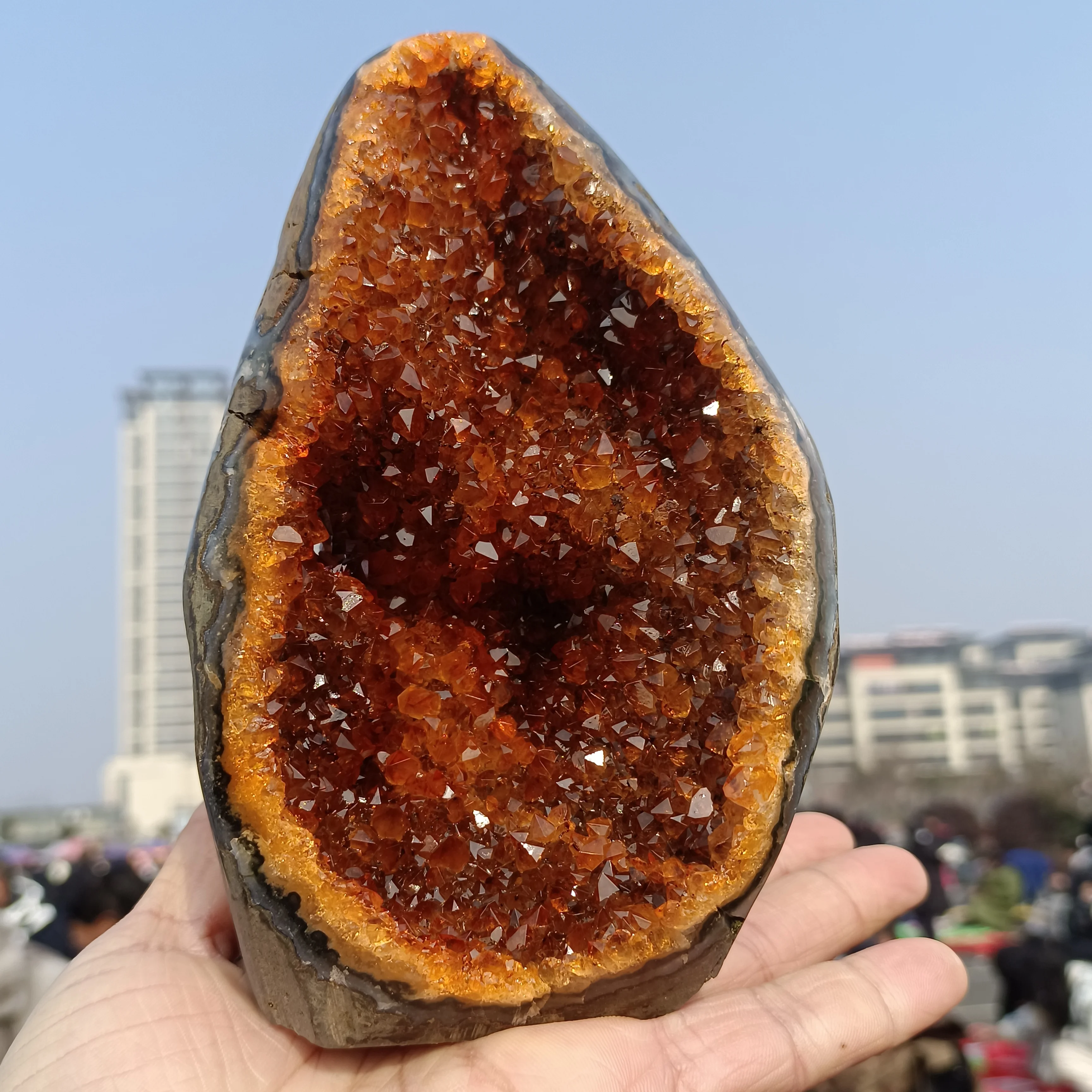 瞑想の家 自然の美しい黒水晶クラスター鉱物標本 (Size : 600-700g)