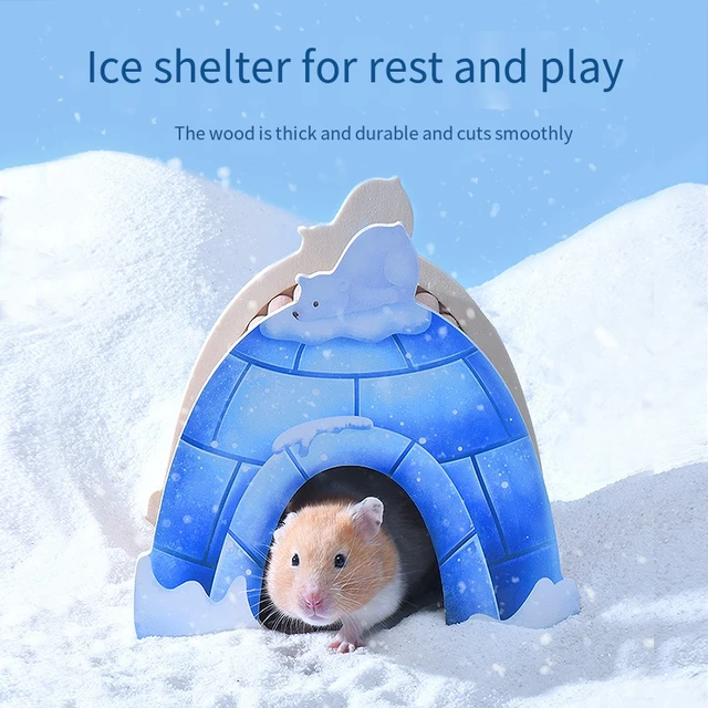 Polar Bear Hamster