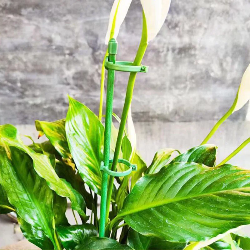 Tuteur - lien - attache,Support en pot pour plante et fleur,5 pièces,30-60-90cm,Support à tomate ...