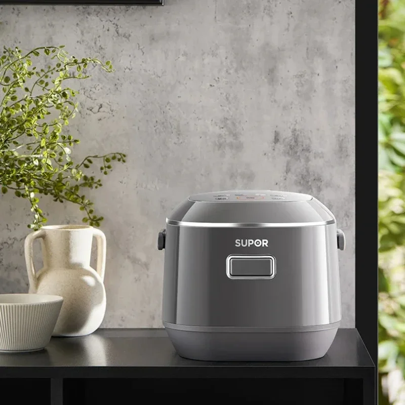 DK138: 2L Mini Rice Cooker, Stainless Steel NonCoating Pot, Compact ...