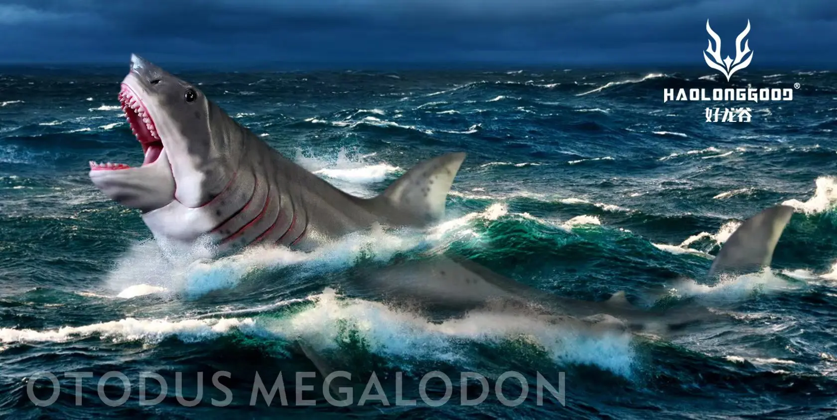 B Avec boîte - HAOLONGGOOD-Modèle de Megalodon Décodeur de 22cm ...