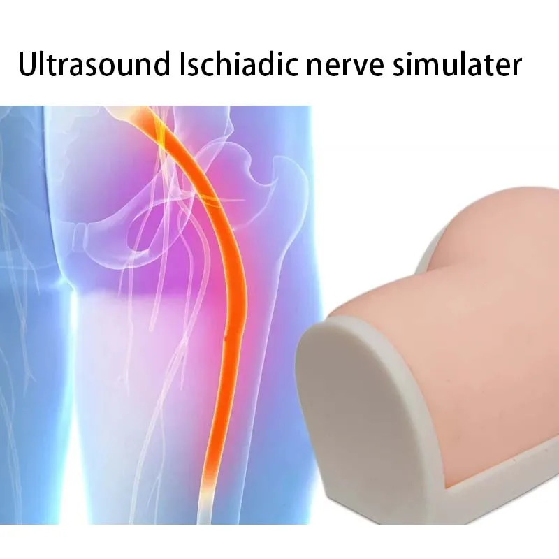 Ultrasound-Phantom-Sciatic-Nerve-Simulator-Phantom-Mastering-Medical ...