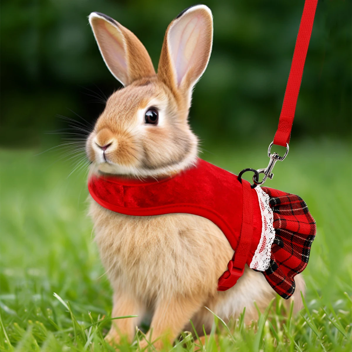 A-Rabbit-Chest-Strap-Set-Dress-Style-Traction-Rope-Outdoor-Cat-Dog-and ...
