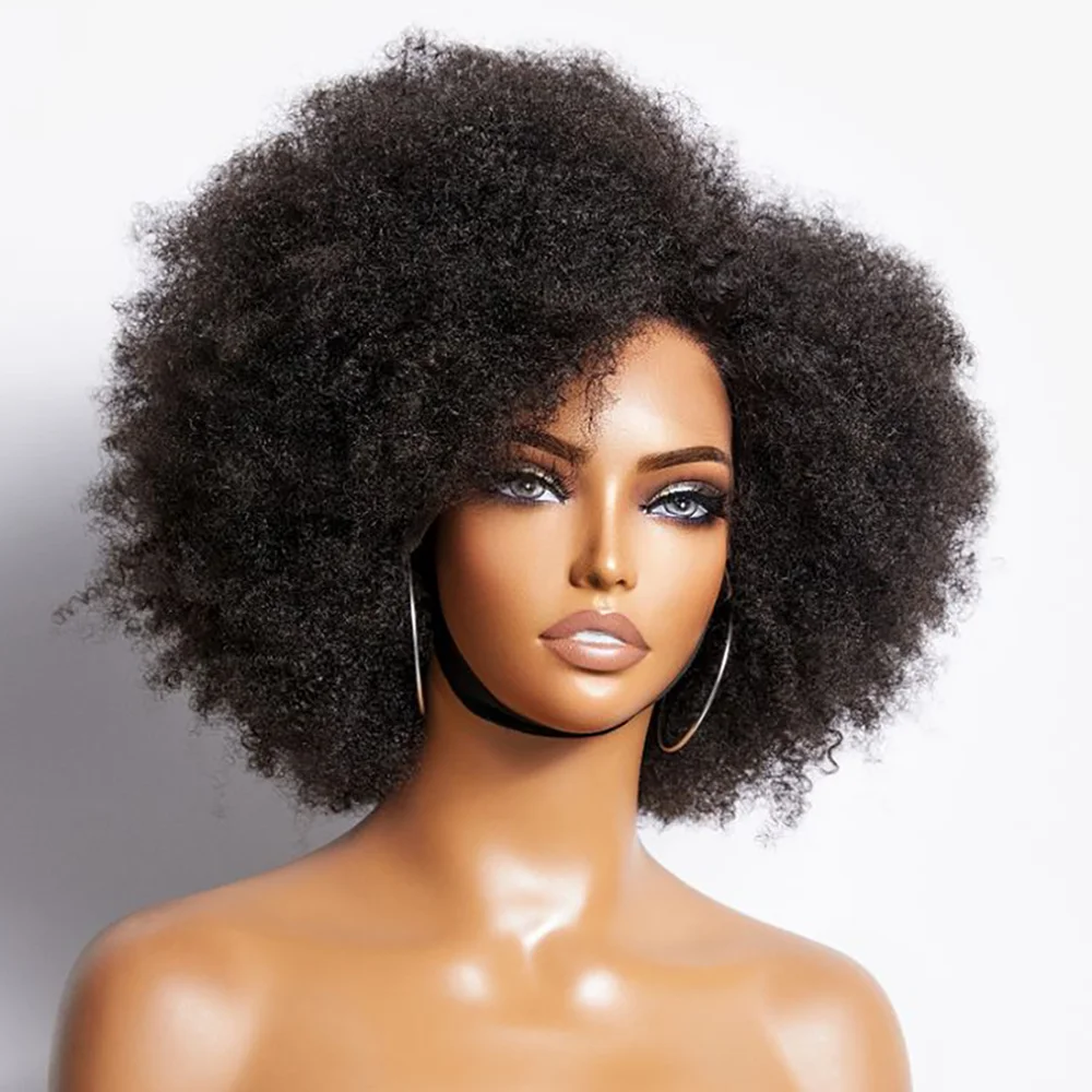 Perruque-Lace-Front-Wig-afro-naturelle-cheveux-humains-cr-pus-boucl-s ...