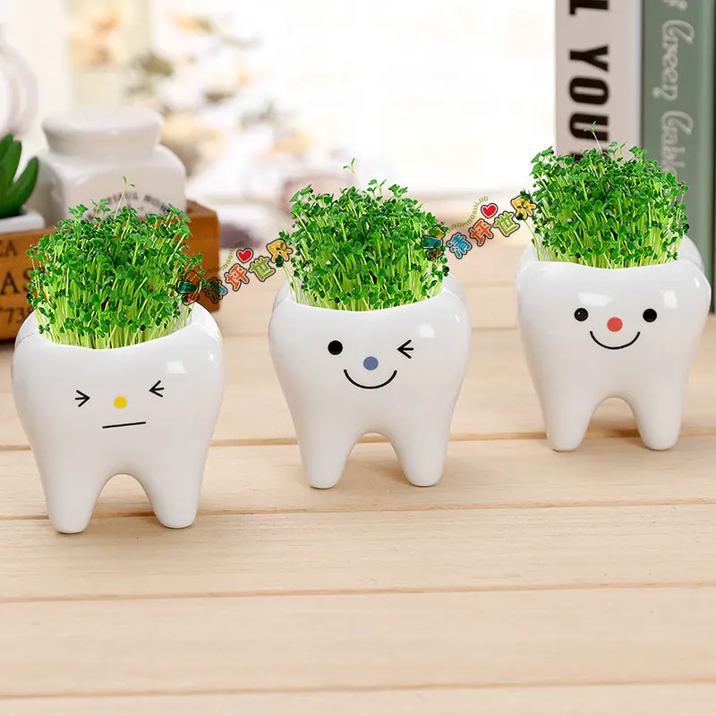 2023 New Ceramic Flowerpot Mini Tooth Shaped Cute Potted Plant Desktop ...