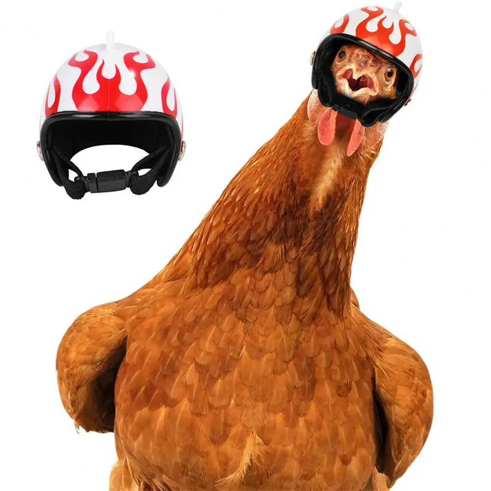 4-5-4cm-PP-Chicken-Helmet-For-Pet-Funny-Parrot-Bird-Hat-Headwear-Small ...