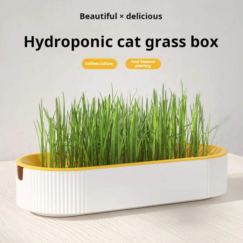 Hydroponic-Cat-Grass-Box-Cat-Treats-Catnip-Hydroponic-Soilless-Planting ...