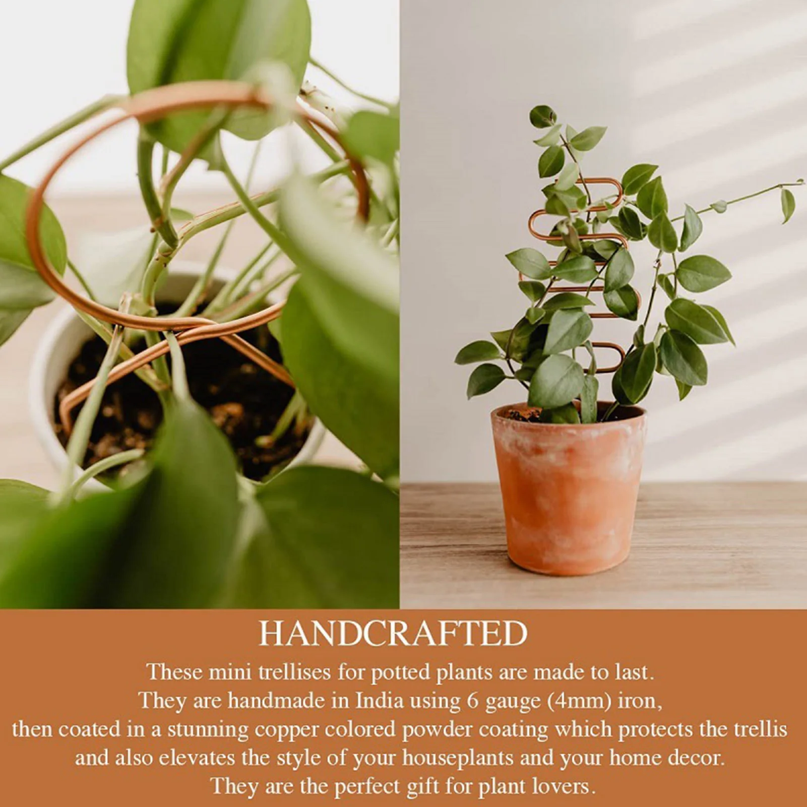Tuteur Plante,Petit Support en treillis métallique pour plantes ...