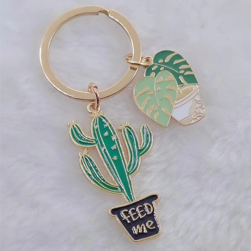 Keychain Succulents | Succulent Gifts | Keychains Pots | Car Keychain ...