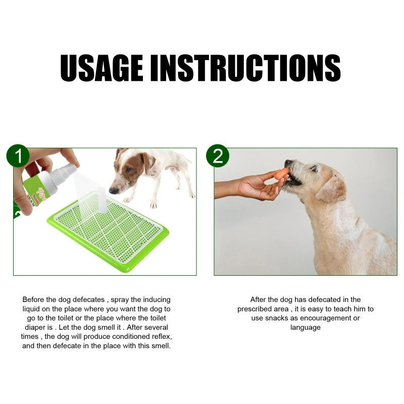 How To Train A Dog To Go Toilet Outside