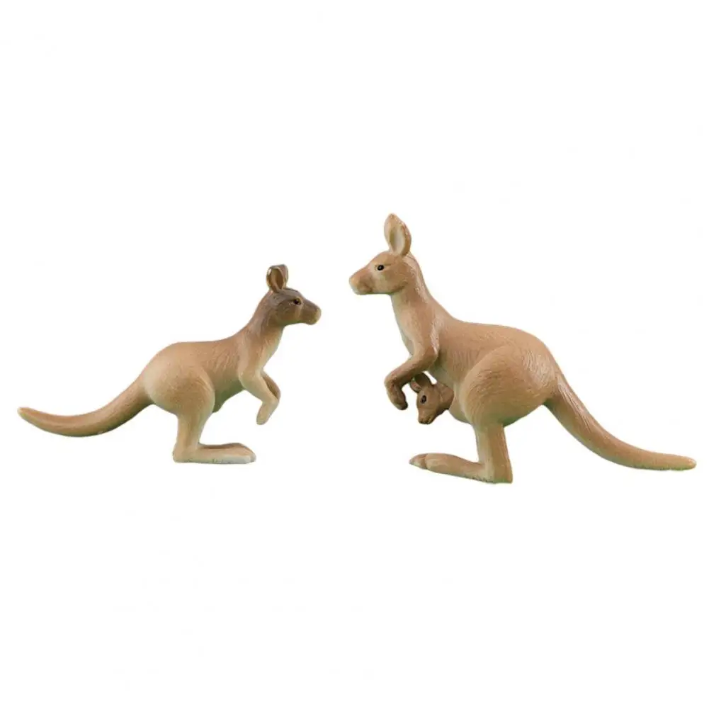 Miniature Kangaroo Pet
