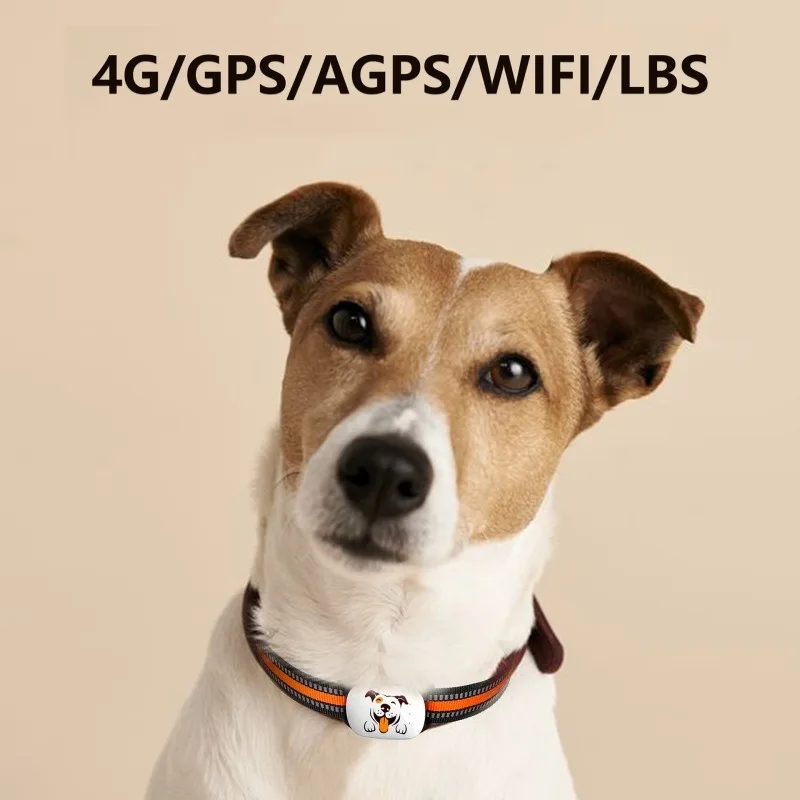 Intelligent-Pet-Locator-Anti-Lost-Device-Cats-Dogs-Collar-Accurate ...