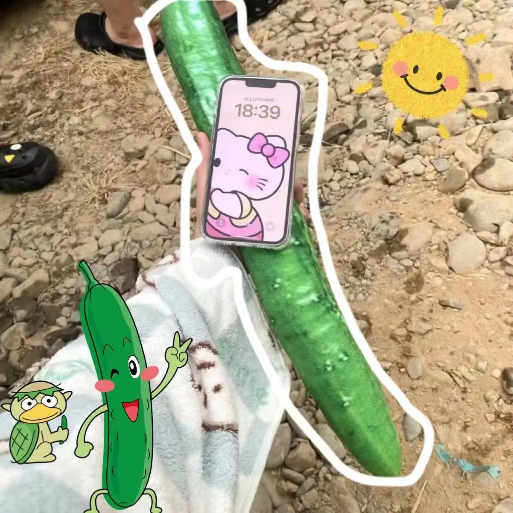 Tiktok-Same-3D-Model-Cucumber-IPhone-14-Funny-Phone-Case-Xr-13pro ...