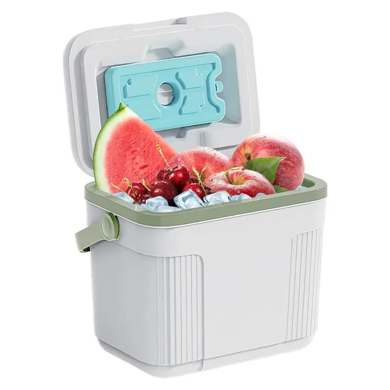 Cooler-Box-10L-Small-Ice-Chests-Portable-Coolers-Hard-Picnic-Box-Lunch ...