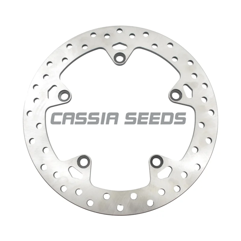 Motorcycle rear brake disc is suitable for BMW C400 X GT F650GS F700GS ...