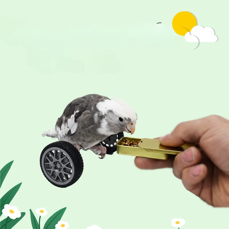 Parrot Balance Birds Intelligence Training Interactive Toy Mini Bicycle ...