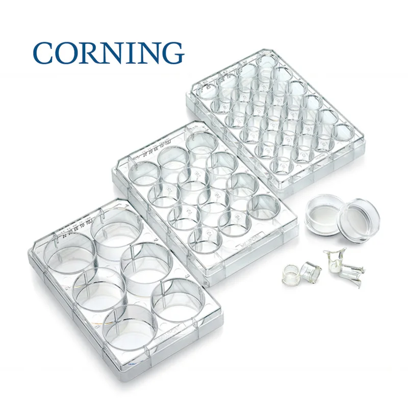 홈 제품 피드백