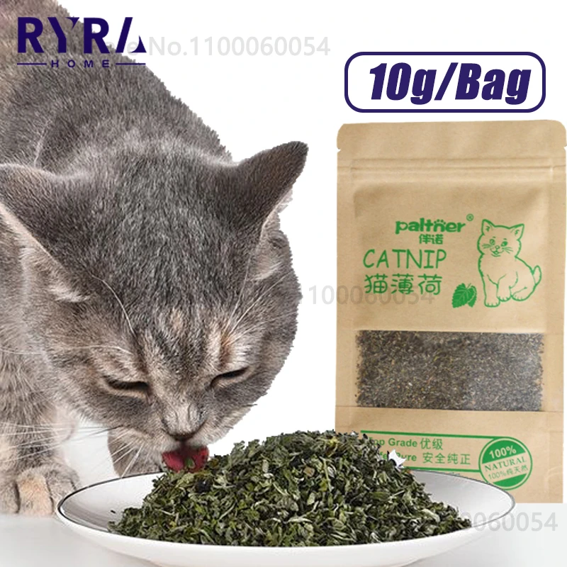 Catnip Grass Good Cats | Cat Treats Catnip Flavor | Mint Toy Cats | Pet ...