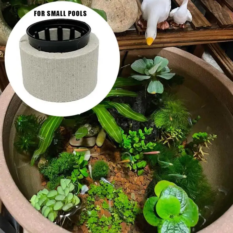 Aquarium-Plant-Weights-Fixed-Ring-Set-Fish-Tank-Plant-Cup-Aquarium ...