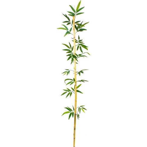 Single Bamboo Stick