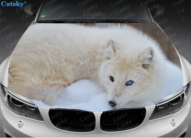 Arctic Cat Hood Decals