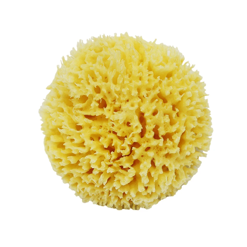 Skin-Friendly-Natural-Sea-Sponge-For-Wide-Application-Easy-To-Clean ...
