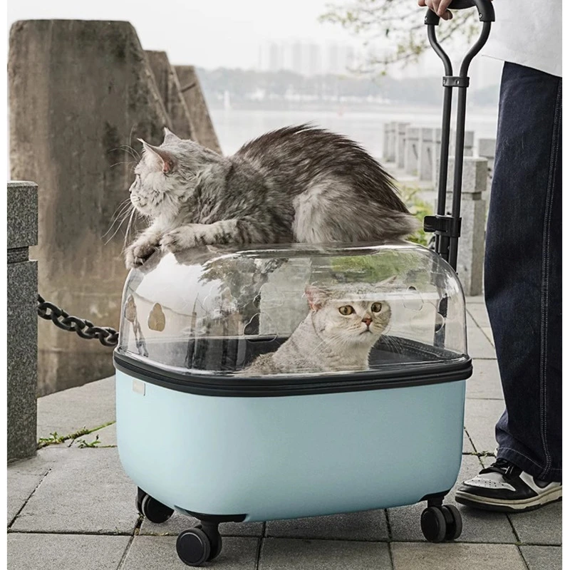 Large-Capacity-Cat-Basket-Panoramic-Transparent-Trolley-Box-Lightweight ...