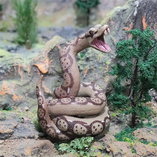Boidae
