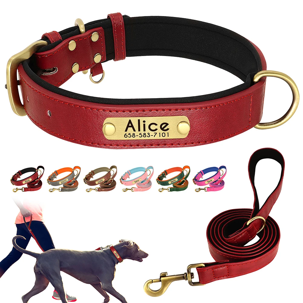 Ensemble-collier-et-laisse-de-chien-en-cuir-PU-doux-et-durable-en-cuir ...