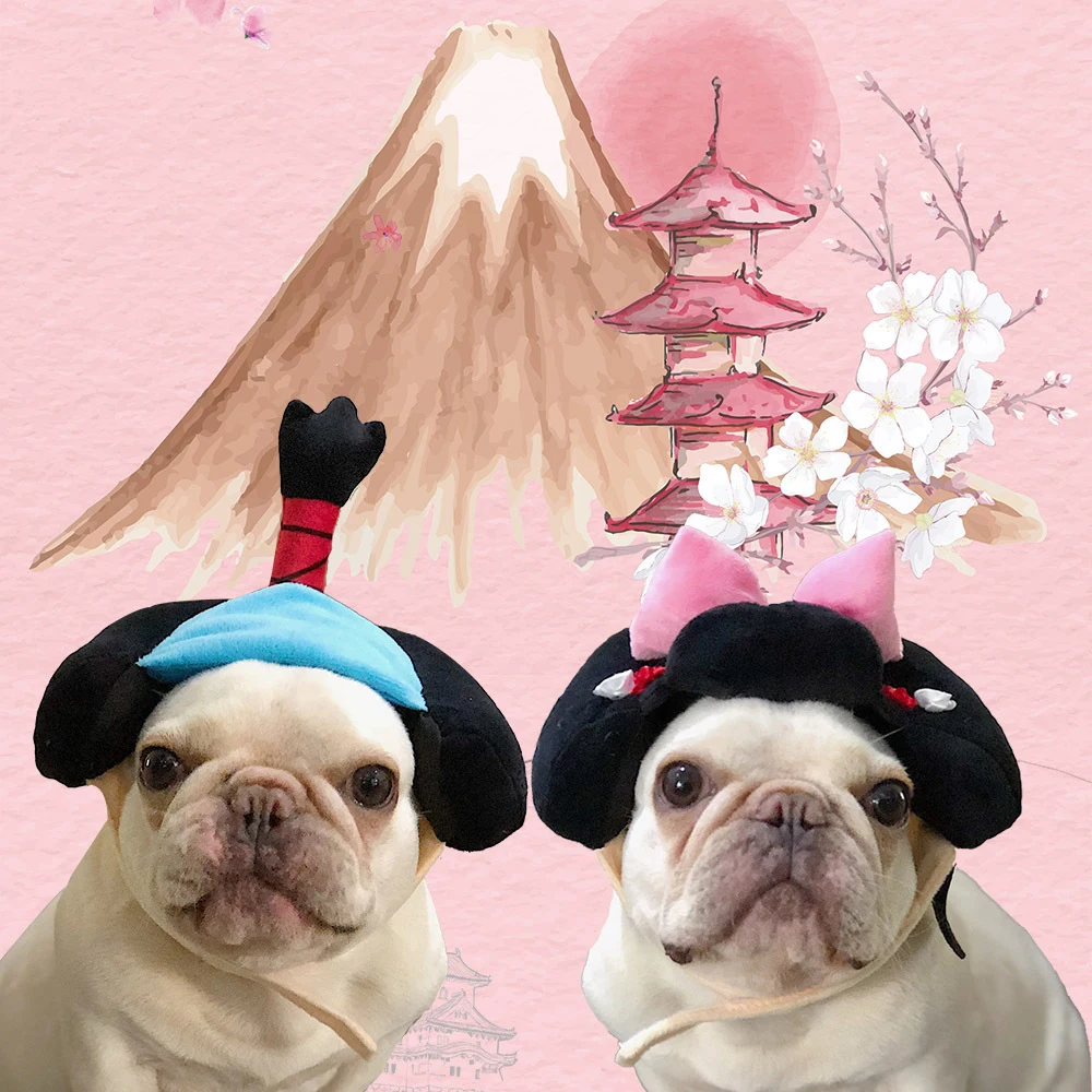 Cosplay Puppy Costumes | Samurai Cosplay Wig | Hat French Bulldogs ...