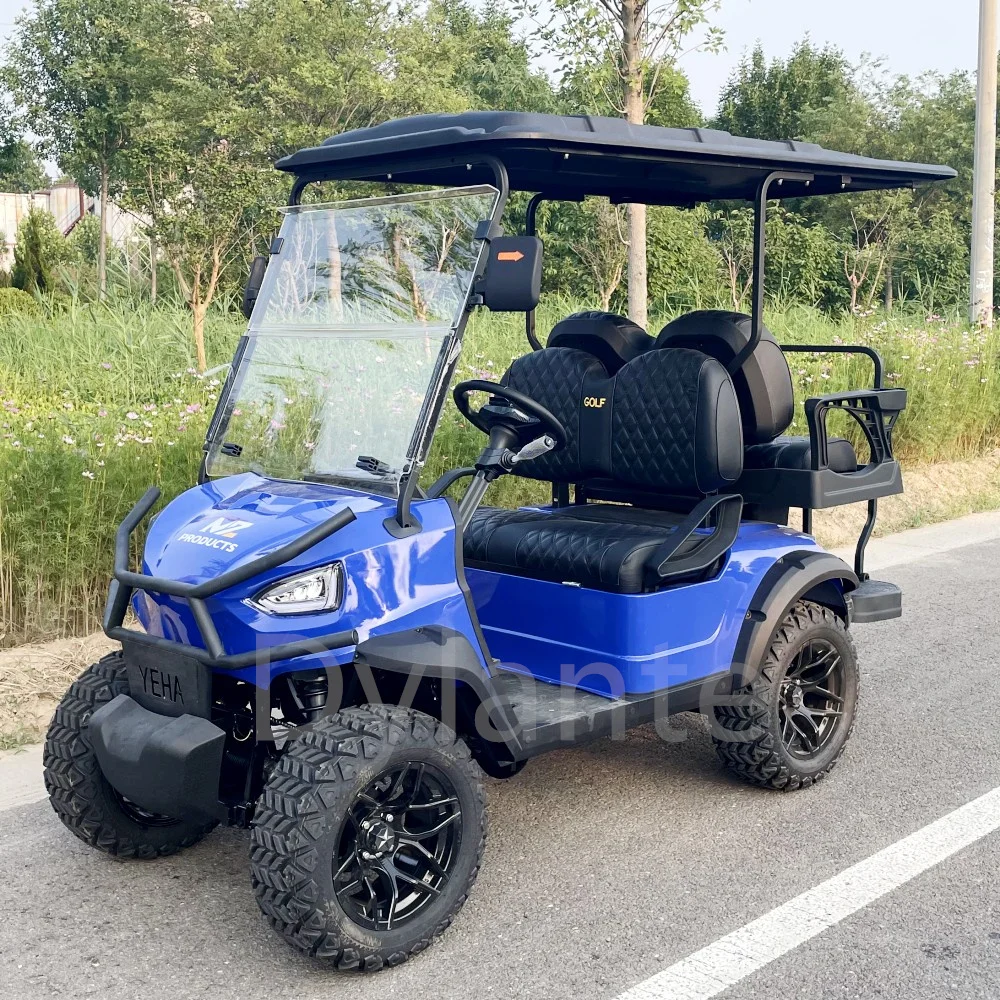 High-Performance-2-2-Seats-off-Road-Buggy-5000w-Motor-4-Passengers-Golf ...