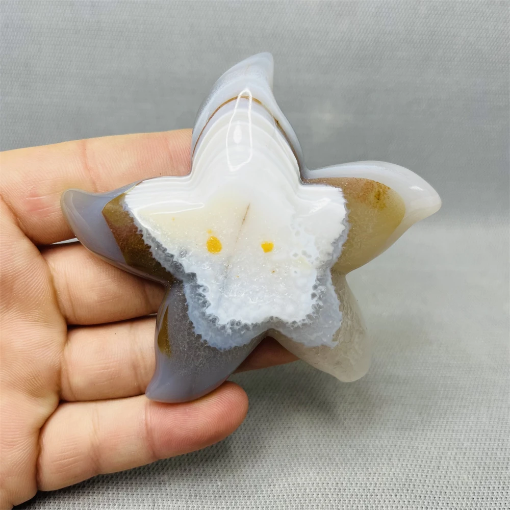 Natural-Stone-Geode-Agate-Hand-Carved-Starfish-Cartoon-Animal-Carves ...