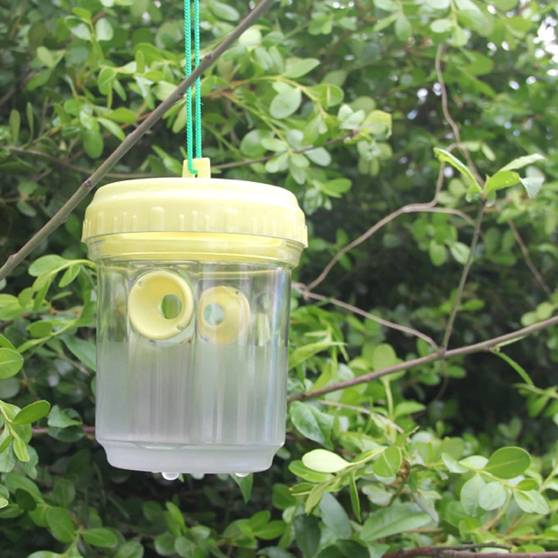 Fly-Trap-Fruit-Flies-Insect-Bug-Hanging-Tree-Honey-Catcher-Killer-Bee ...