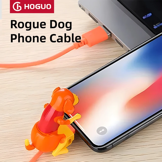Samsung Rogue Charger Type