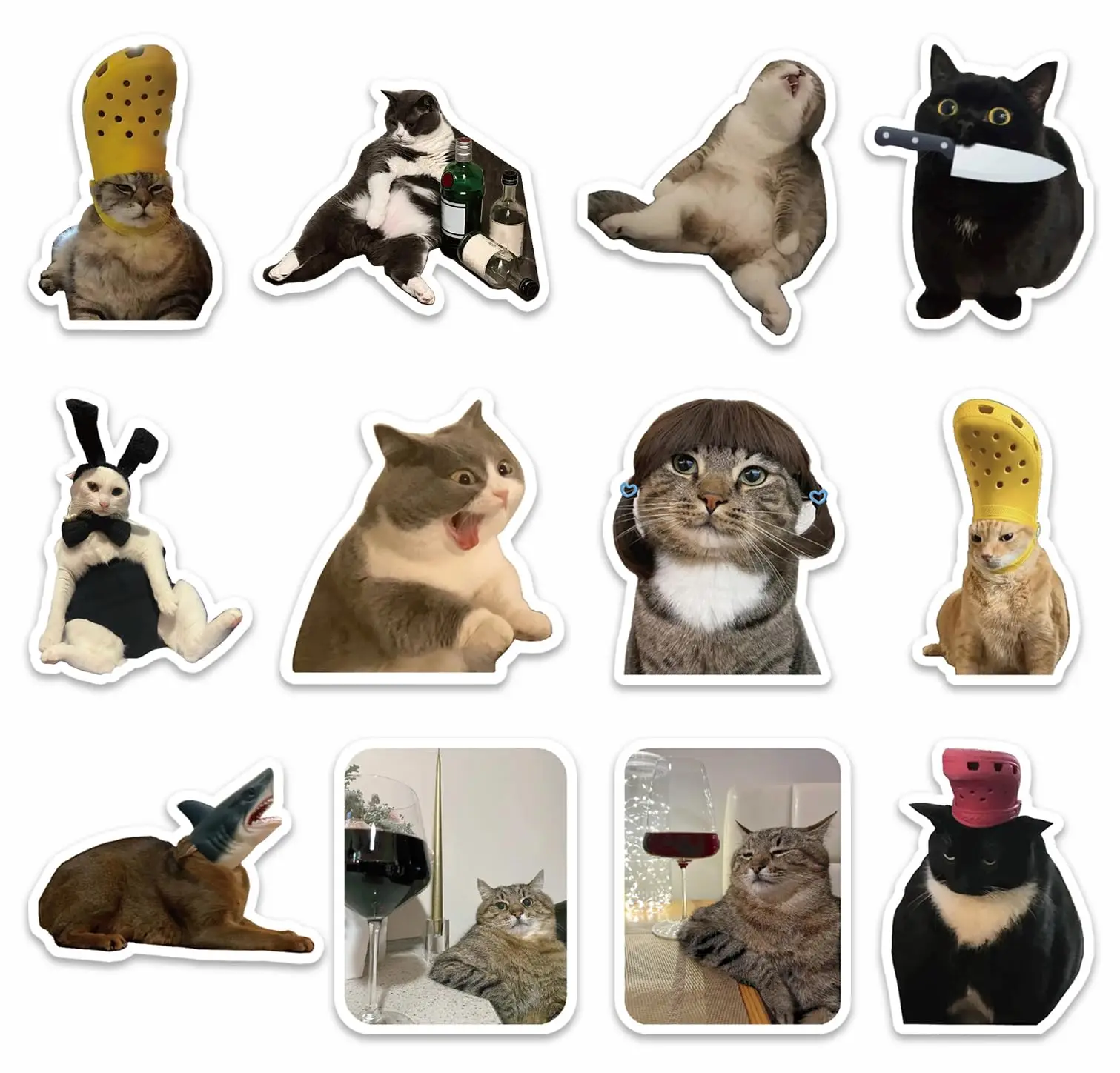12Pcs Funny Cat Meme Fridge Magnets Cute Refrigerator Magnetic Stickers ...