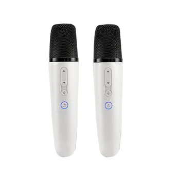 ZLWR 2022-2024 BYD ATTO 3 Dolphin Seal Song plus car microphone with ...
