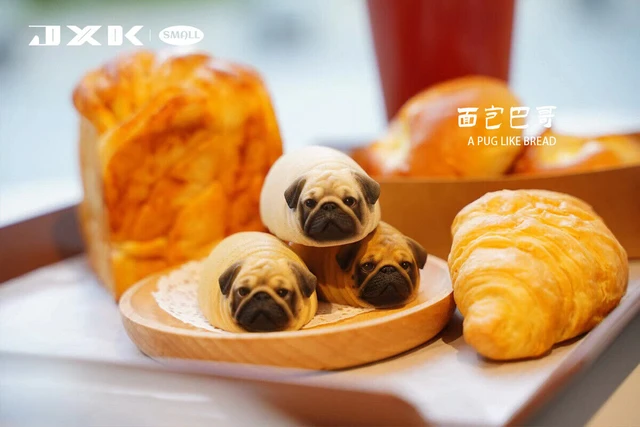 Pug Looks Like Bread