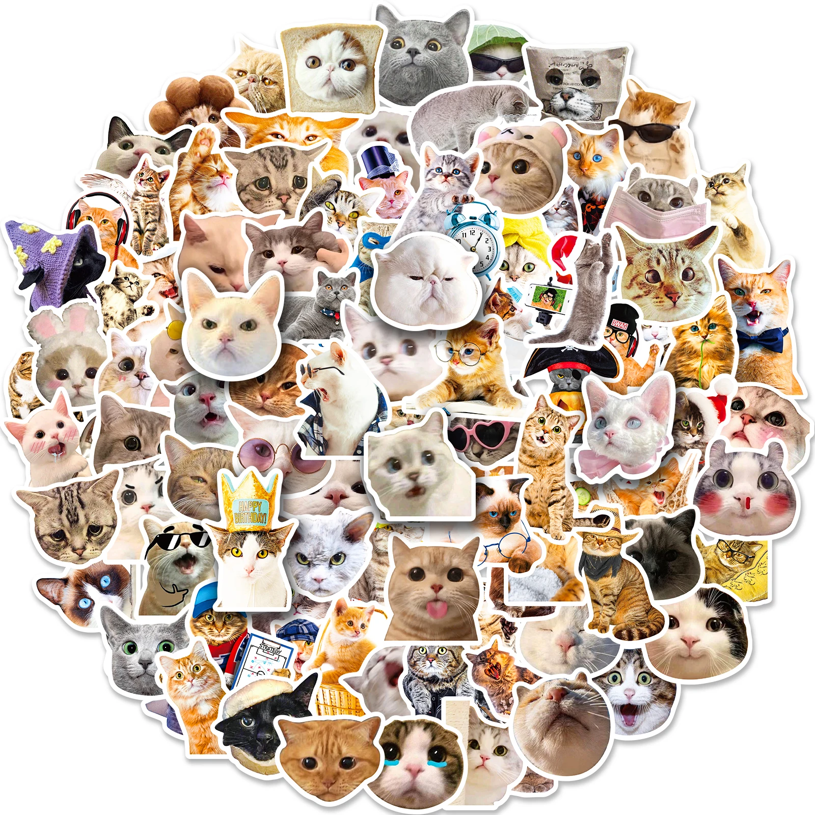 50-100Pcs-Cat-Stickers-Pack-Cute-Cool-Kawaii-Funny-for-Cat-Lovers-Teens ...