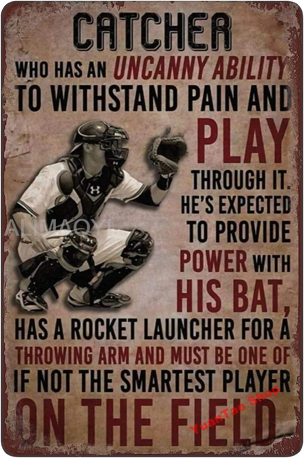 Baseball Catcher Signs: The Ultimate Wall Decor for Sports Fans and ...