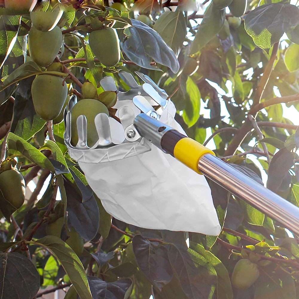 Orchard and Garden Fruit Picking Tool - Modern Hives