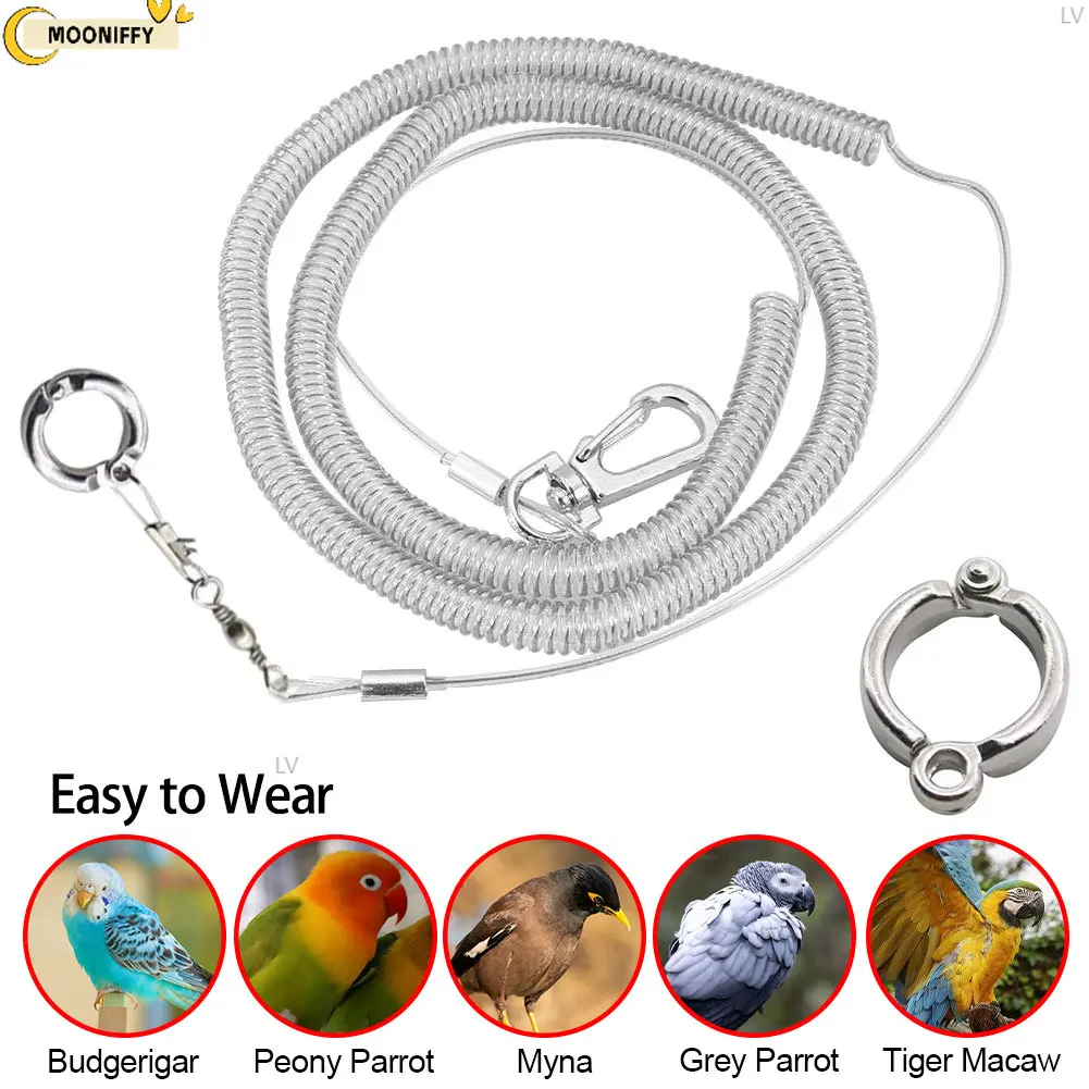 Bird foot Chain Parrot Anti flying Traction Rope Bird Feet Bracelet ...
