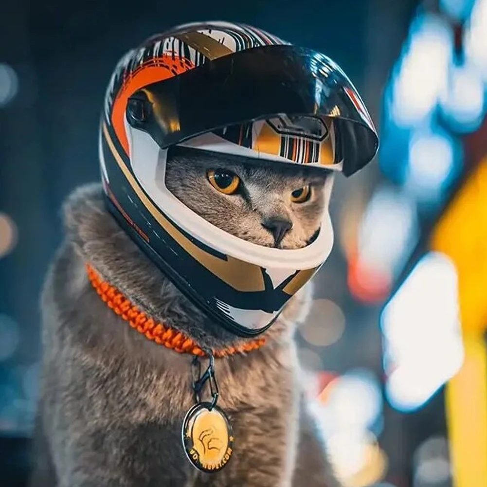 Casquette-snood,Casque de moto intégral pour petit animal de compagnie ...