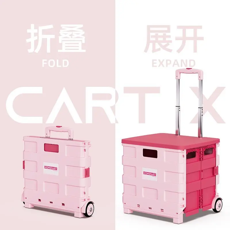 Internet-Celebrity-Trolley-Supermarket-Shopping-and-Grocery-Shopping ...